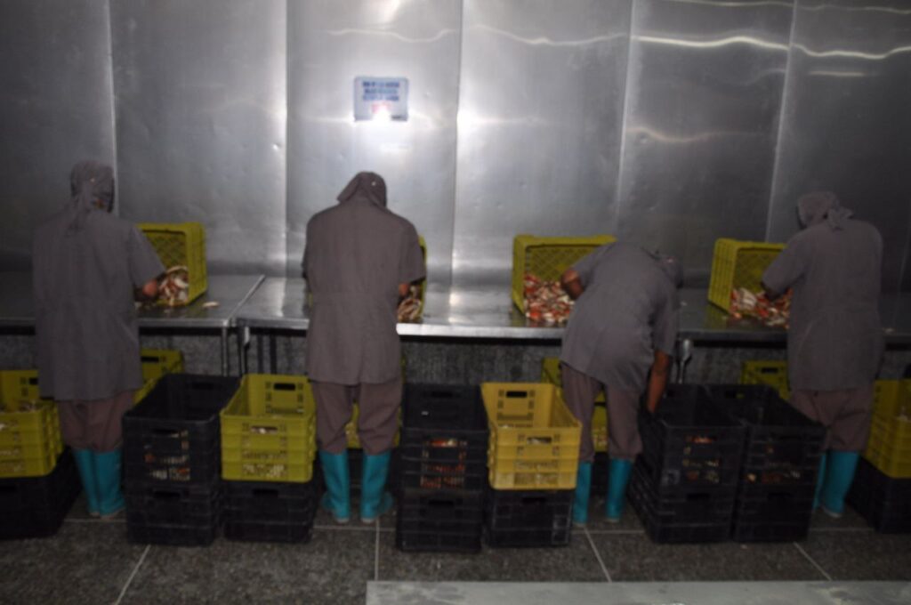 WELCOME TO EXPROLAGO - Blue Crab Meat Processing Plant